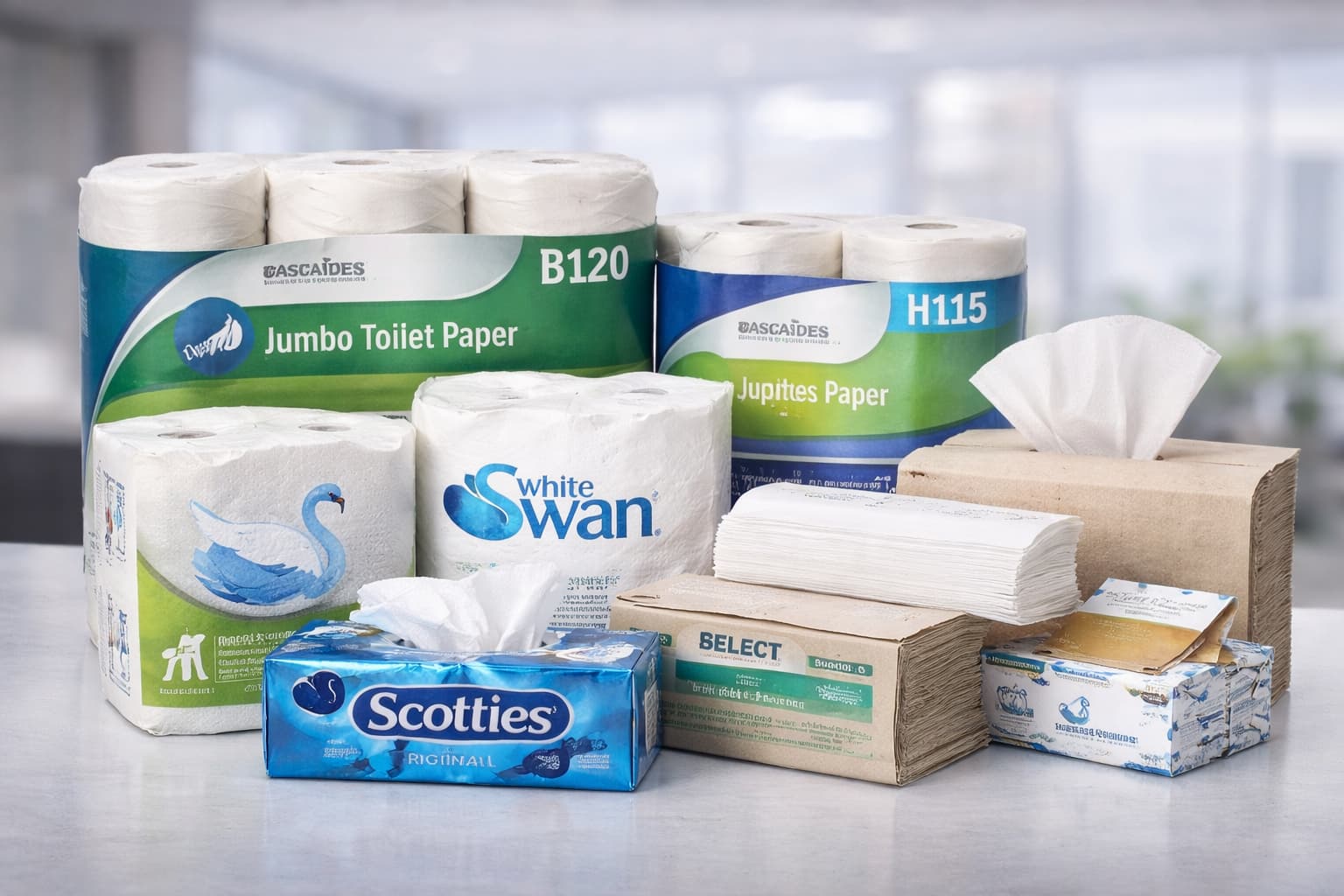 Sanitary Paper Products – Depot 365